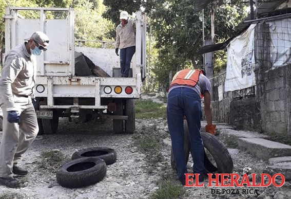 El Heraldo de Poza Rica - Combate frontal al dengue