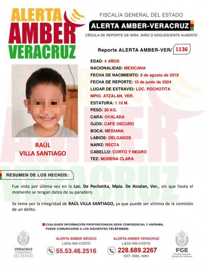 El Heraldo de Poza Rica - Raúl de 4 años fue plagiado por su prima en ...