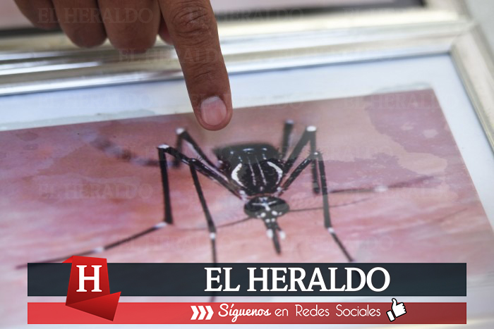 El Heraldo De Poza Rica Veracruz Tercer Lugar Nacional Por Muertes A