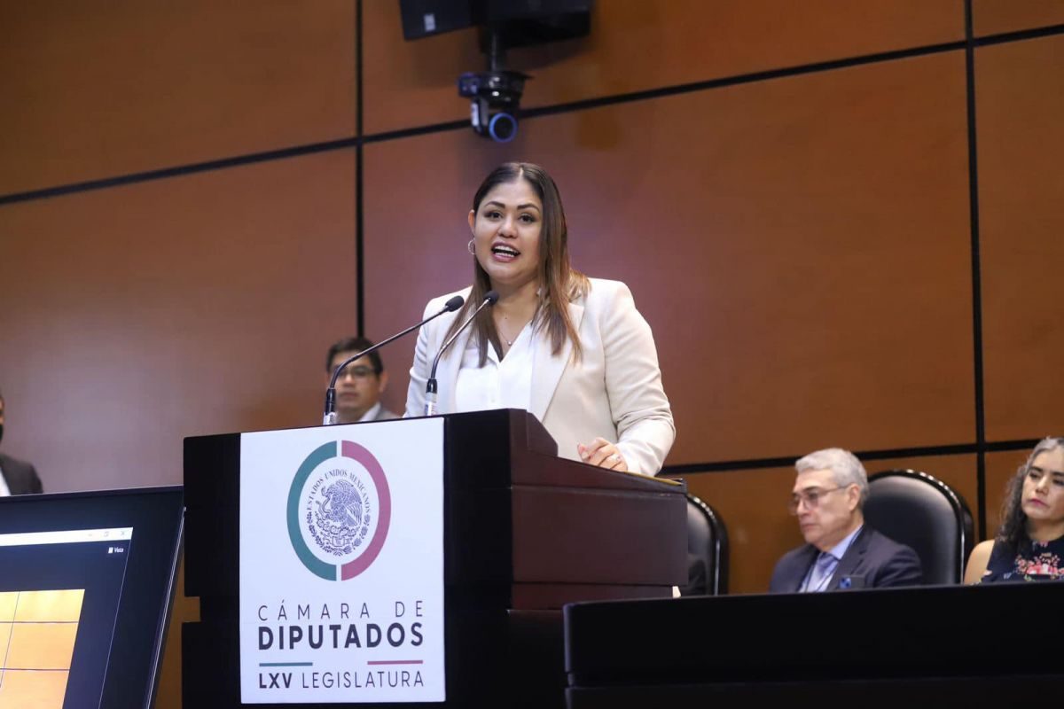 El Heraldo de Poza Rica - Impulsa Diputada proyecto Escolín