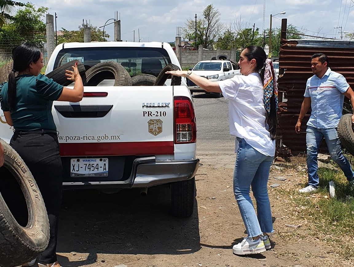 El Heraldo de Poza Rica - ¡Aguas con el dengue!