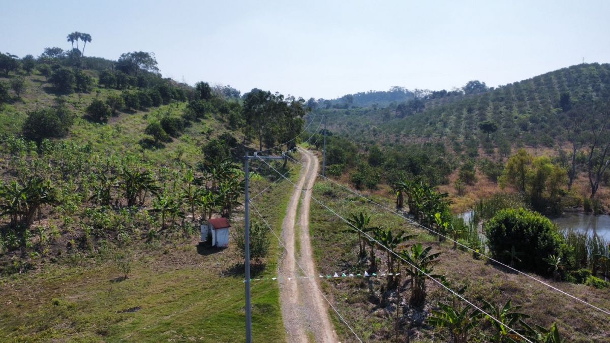 El Heraldo de Poza Rica - Electrifican al Mariscal