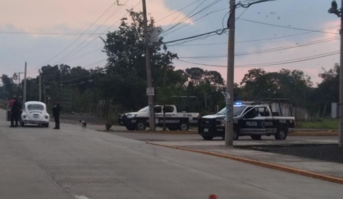 El Heraldo de Poza Rica - Traían marihuana