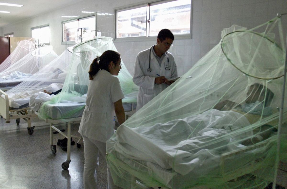 El Heraldo de Poza Rica - Van 26 mil 278 casos de dengue