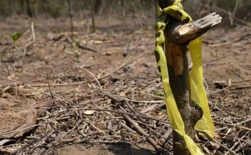 El Heraldo de Poza Rica - México enfrenta violaciones a DH