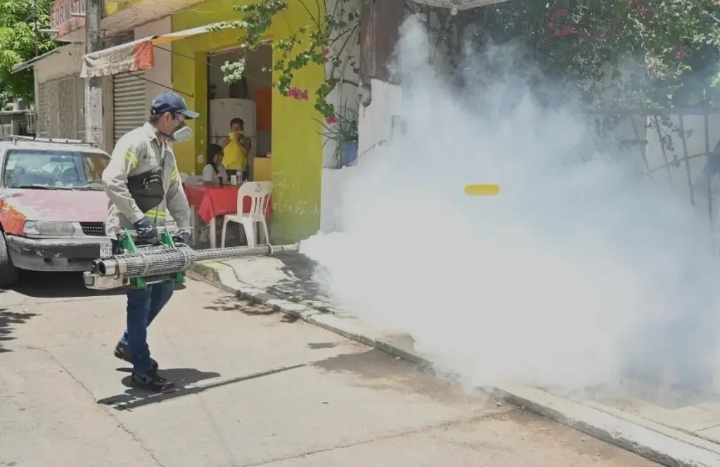 El Heraldo de Poza Rica - Refuerzan campaña contra el dengue