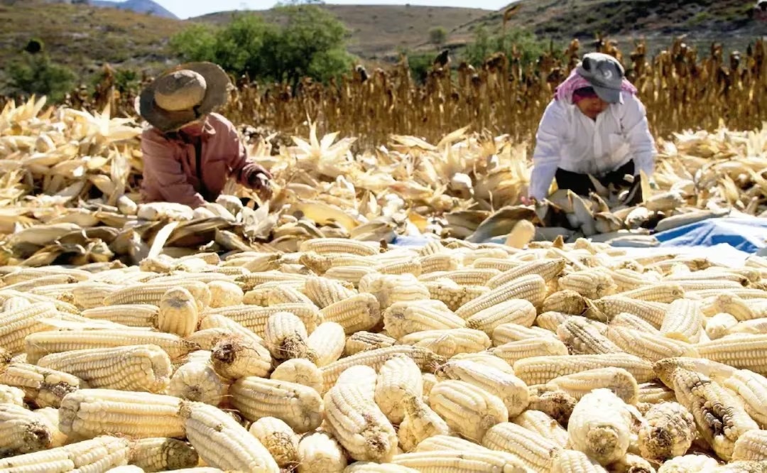 El Heraldo de Poza Rica - EU anuncia inversión de 40 MDD en México para ...
