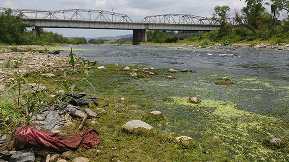 El Heraldo de Poza Rica - Agoniza el río Cazones