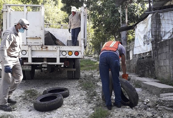 El Heraldo de Poza Rica - Combate frontal al dengue